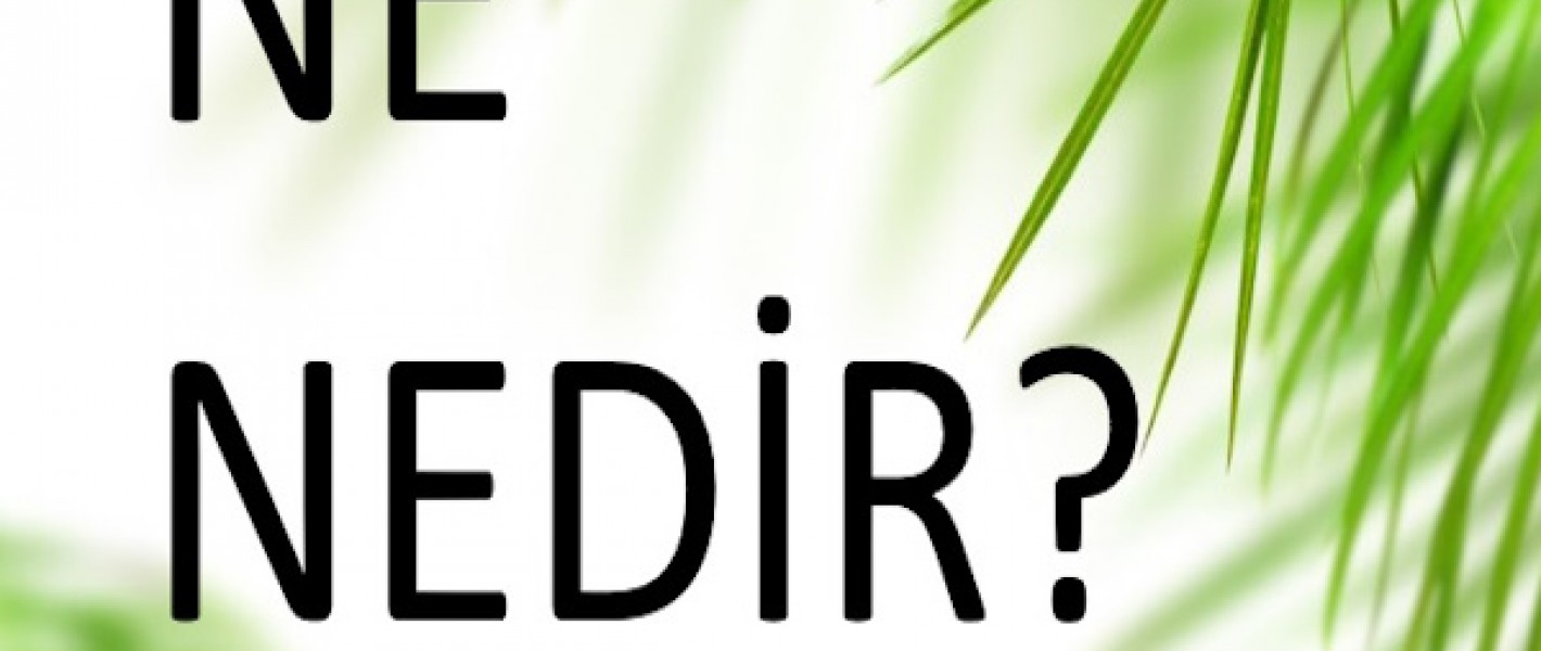 NE NEDİR
